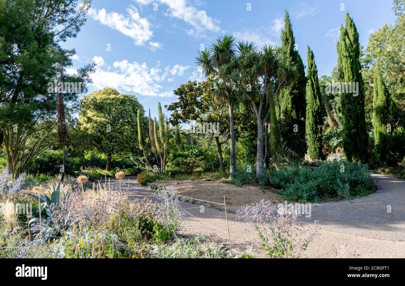 Gardens in Regents Park London UK Stock Photo - Alamy