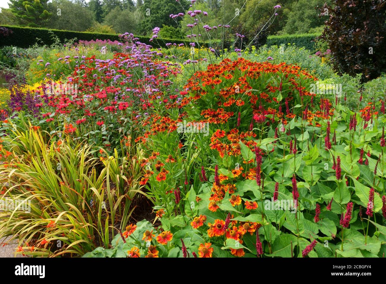 Rosemoor RHS Gardens, "Hot Gardeb", Devon, England, UK Stock Photo - Alamy