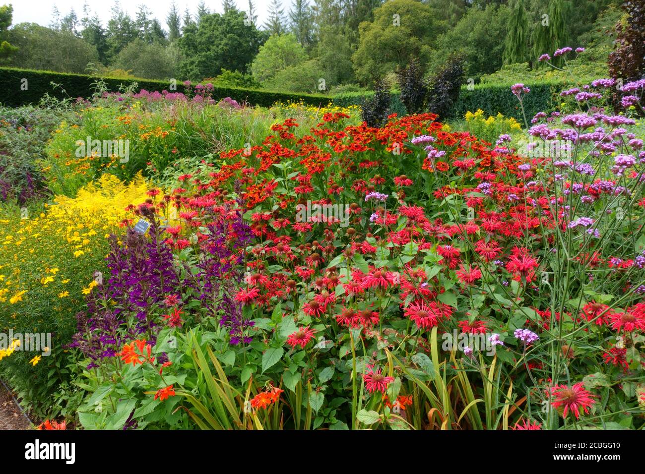 Gardeb hi-res stock photography and images - Alamy