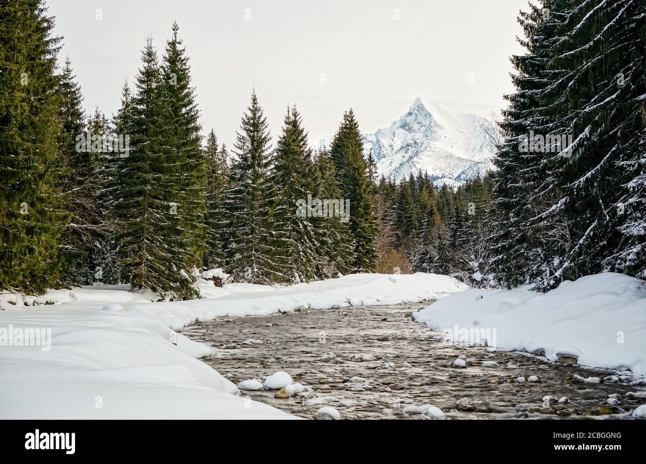 Winter river forest, snow and trees on both sides, mount Krivan peak ...