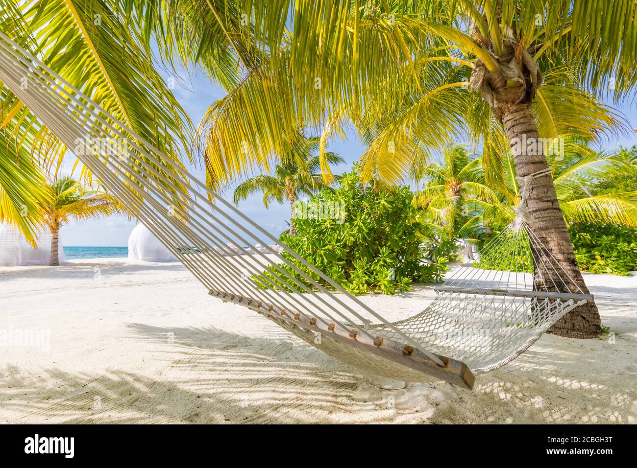 Palm tree hammock beach scene hi-res stock photography and images - Alamy