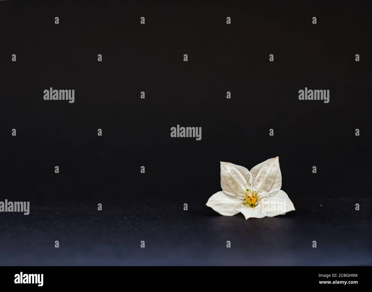 Black isolation hi-res stock photography and images - Alamy