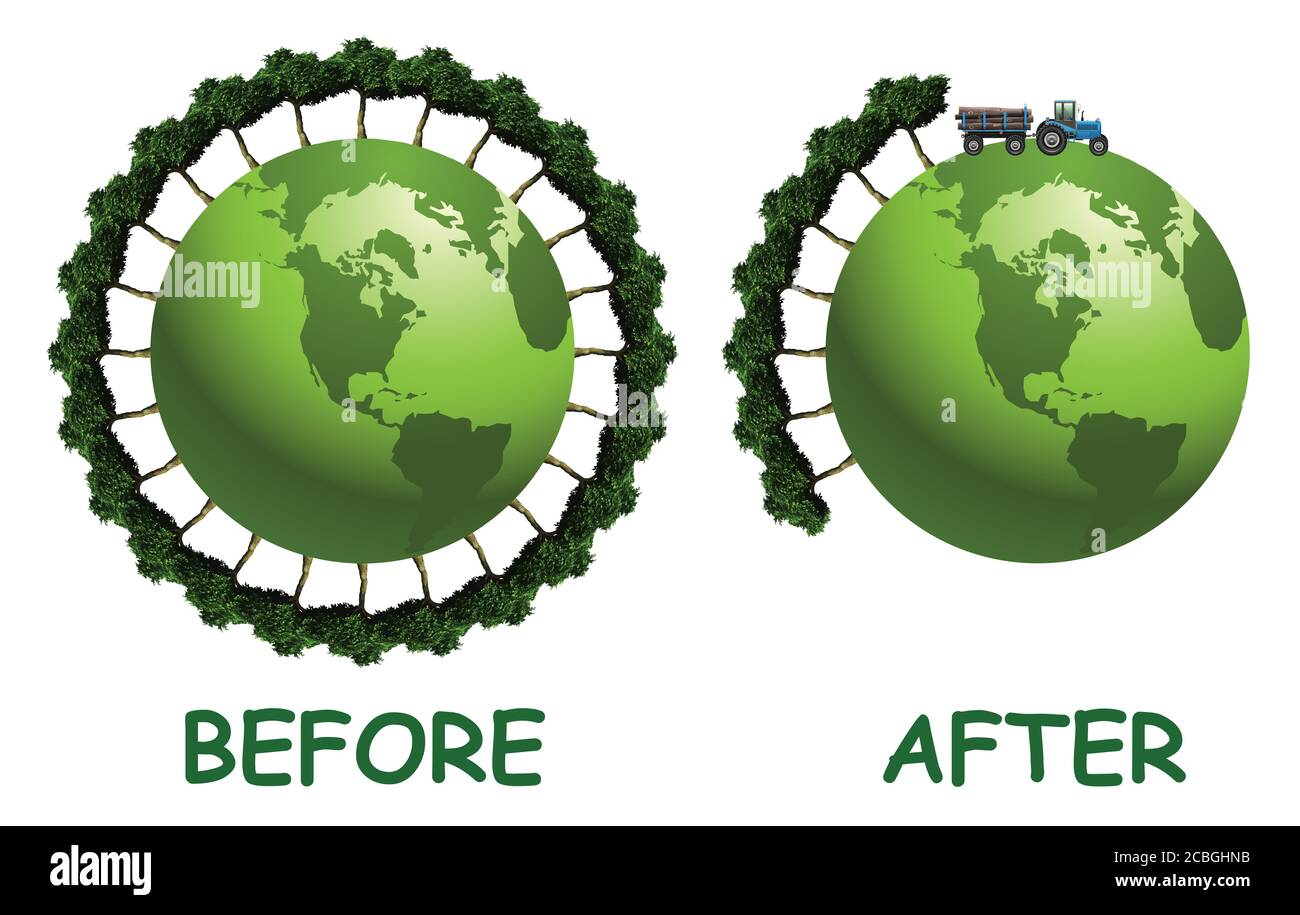 Representation of rain forest deforestation before and after showing ...