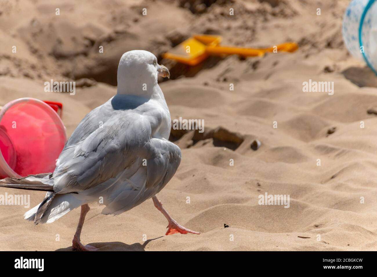 Wing walking hi-res stock photography and images - Alamy