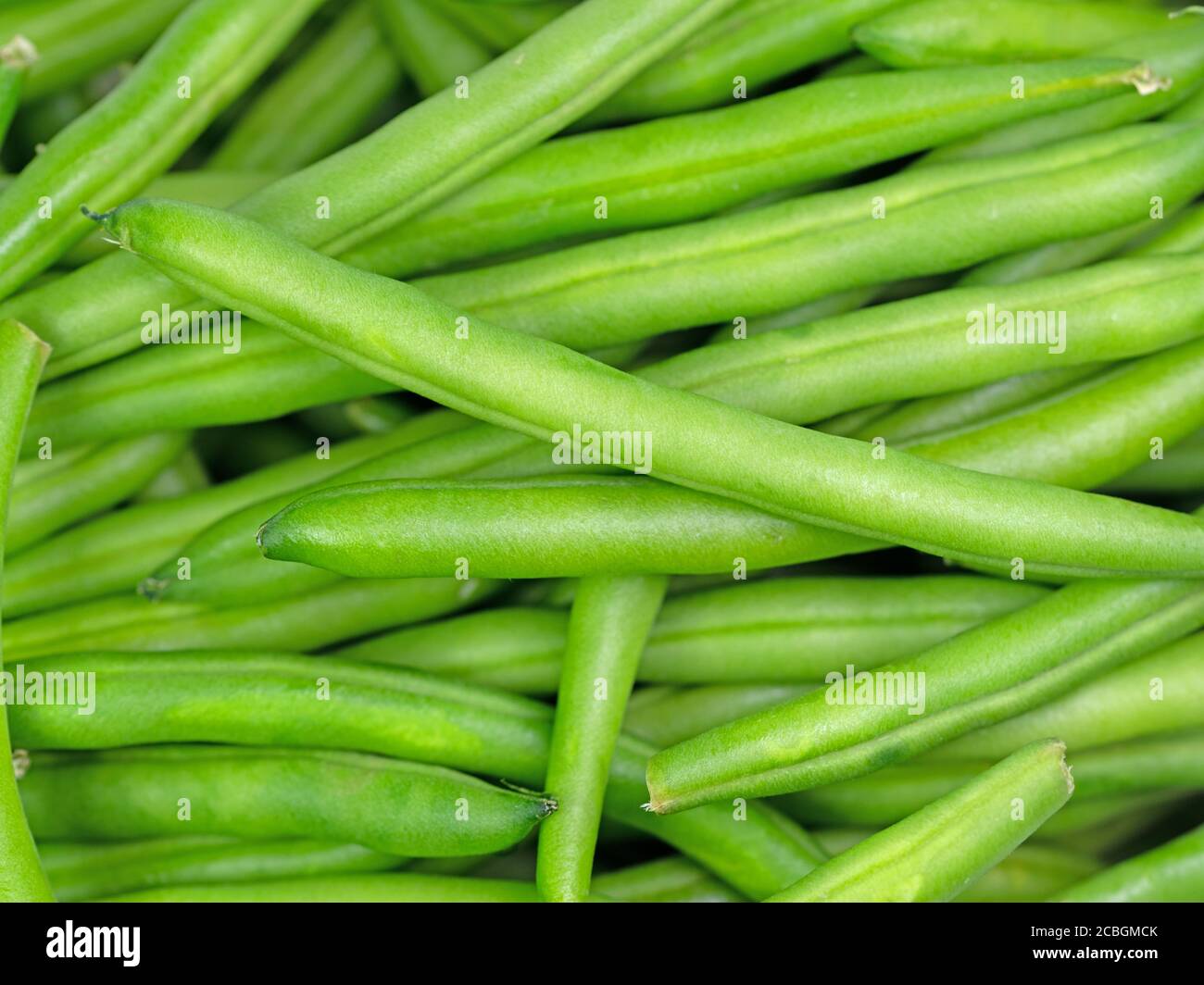 Green beans, phaseolus vulgaris, in close up Stock Photo - Alamy