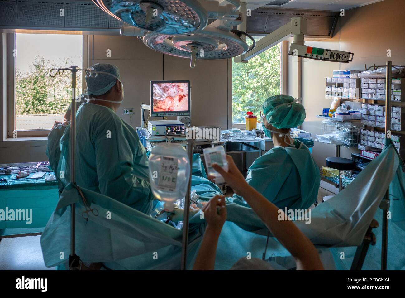 a medical team operates on a patient endoscopically in an operating ...