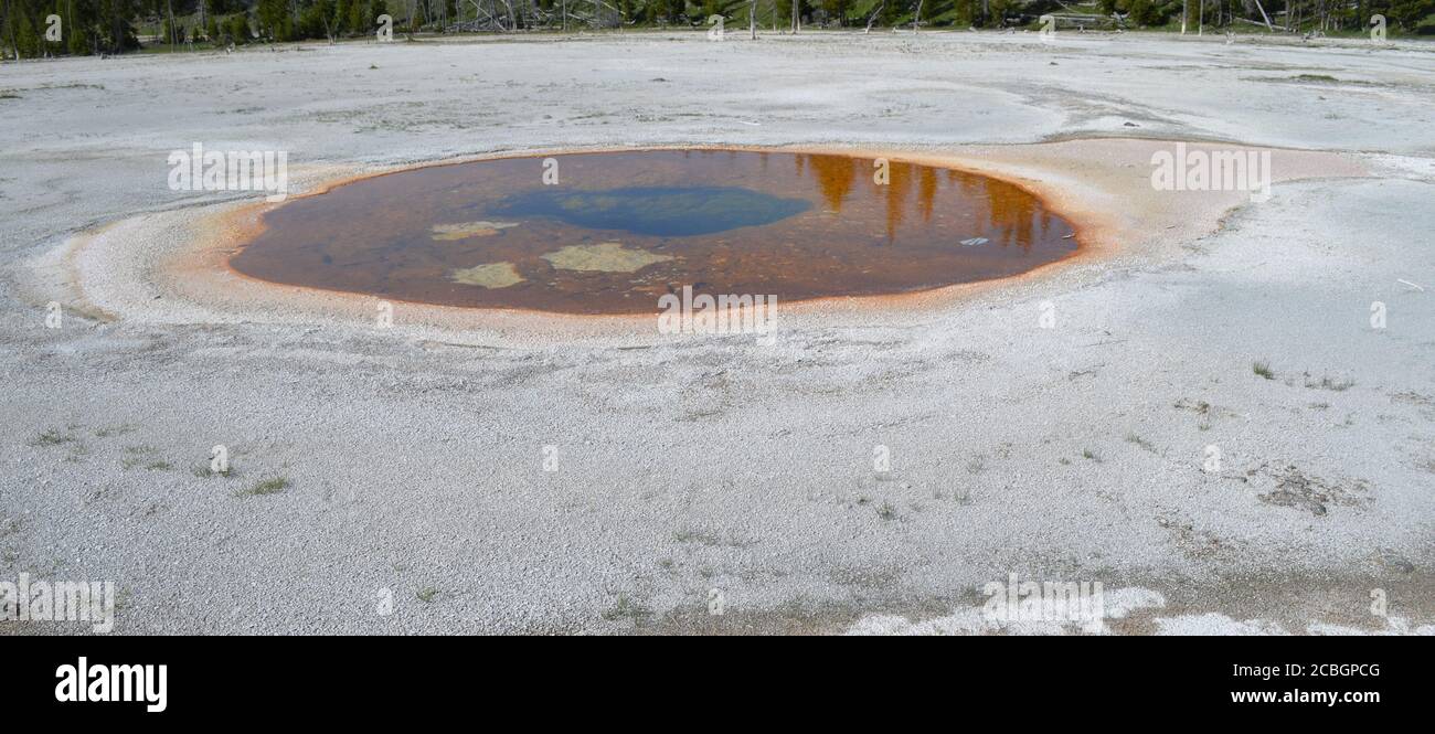 Late Spring in Yellowstone National Park: Stalactite-Like Reflection on ...