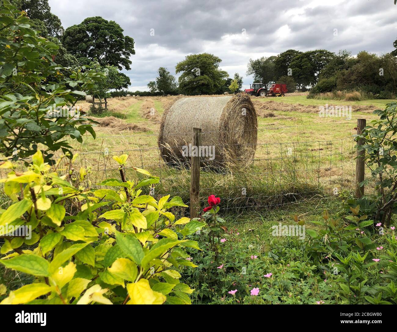 Making Hay in the Glebe Field in Welby Stock Photo - Alamy
