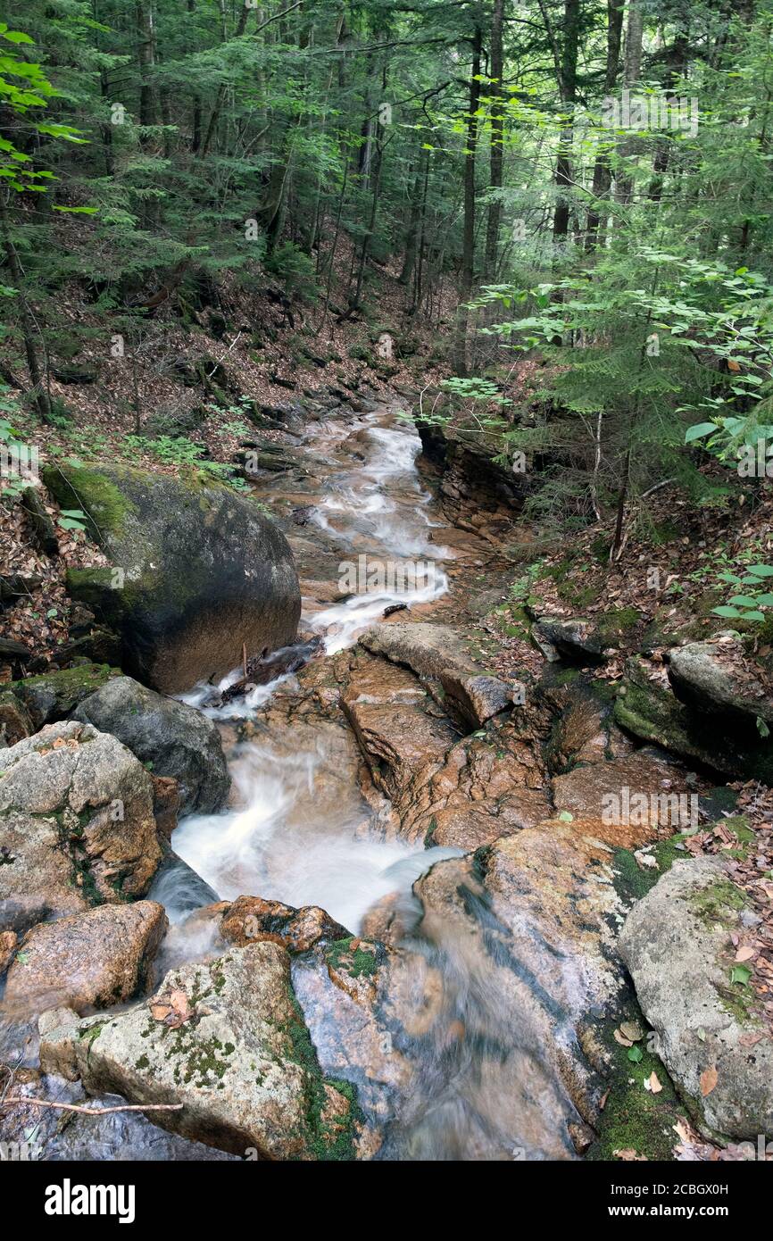 Stream, Flume Gorge, New Hampshire, USA Stock Photo - Alamy