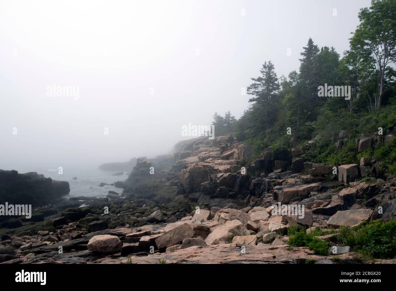 Ocean Path Hiking,Maine Coast, Ocean Path is a family-friendly trail ...