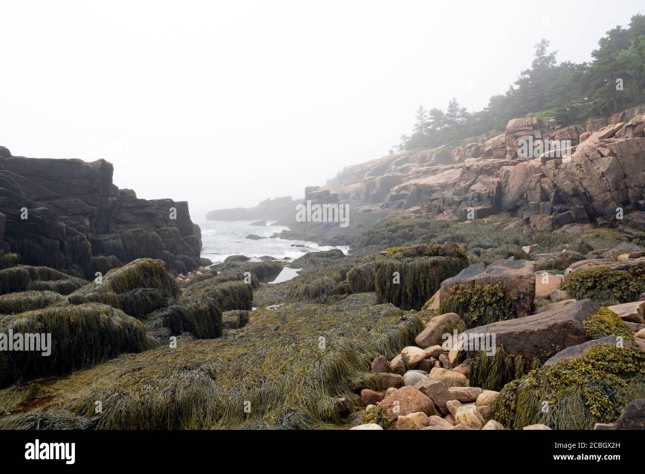 Ocean Path Hiking,Maine Coast, Ocean Path is a family-friendly trail ...