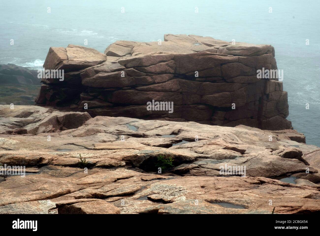 Ocean Path Hiking,Maine Coast, Ocean Path is a family-friendly trail ...
