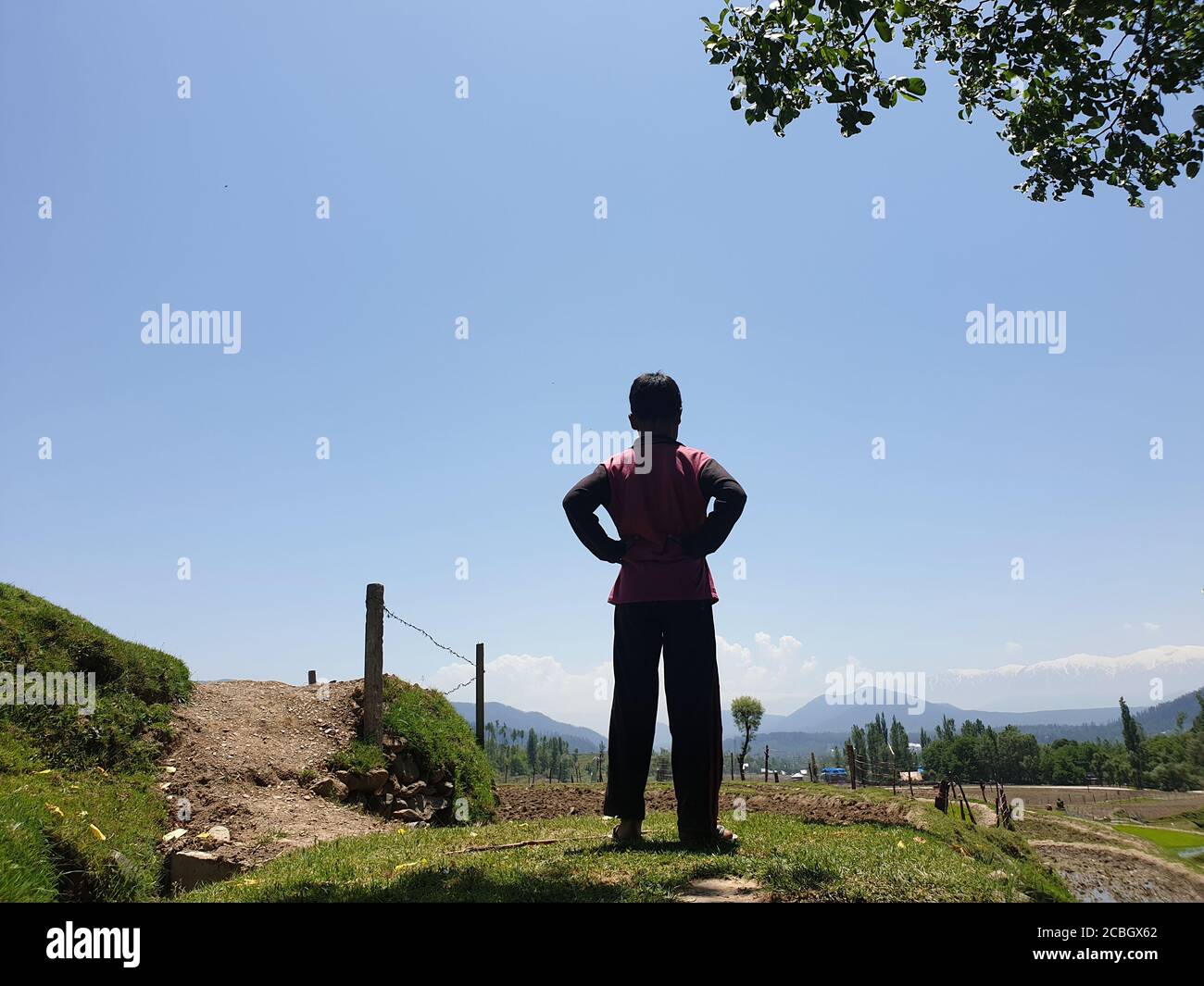 Children playing with teddy bear in a park. Body parts of Kids seems ...