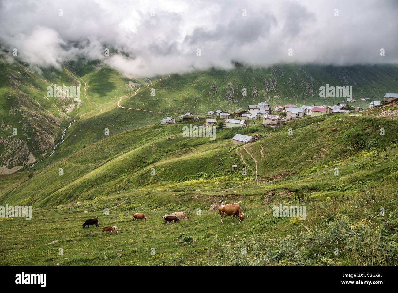 Turkey, the Kaçkar Mountains National Park, mountains, lush valleys ...