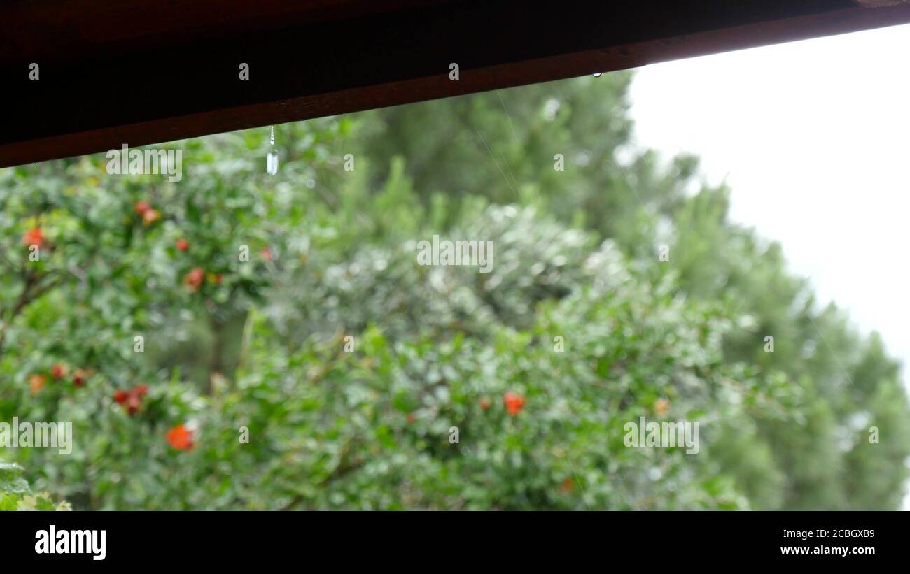 Rain drops falling from roof's eave during rain Stock Photo - Alamy