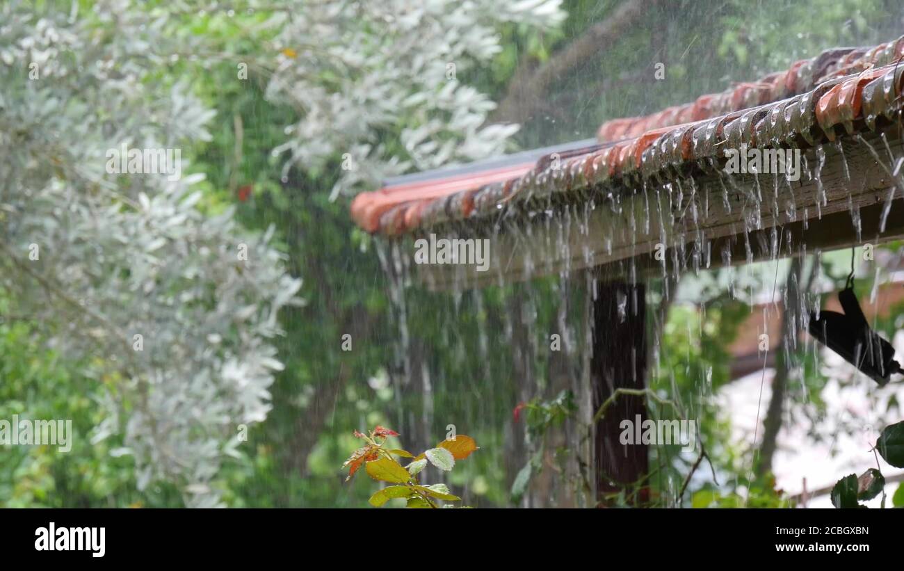 Rain drops falling from roof's eave during rain Stock Photo - Alamy