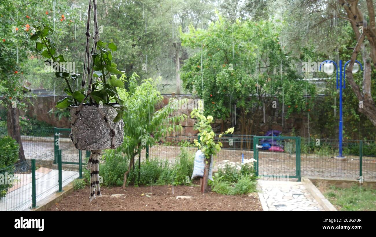 Rain drops falling from roof's eave during rain Stock Photo - Alamy