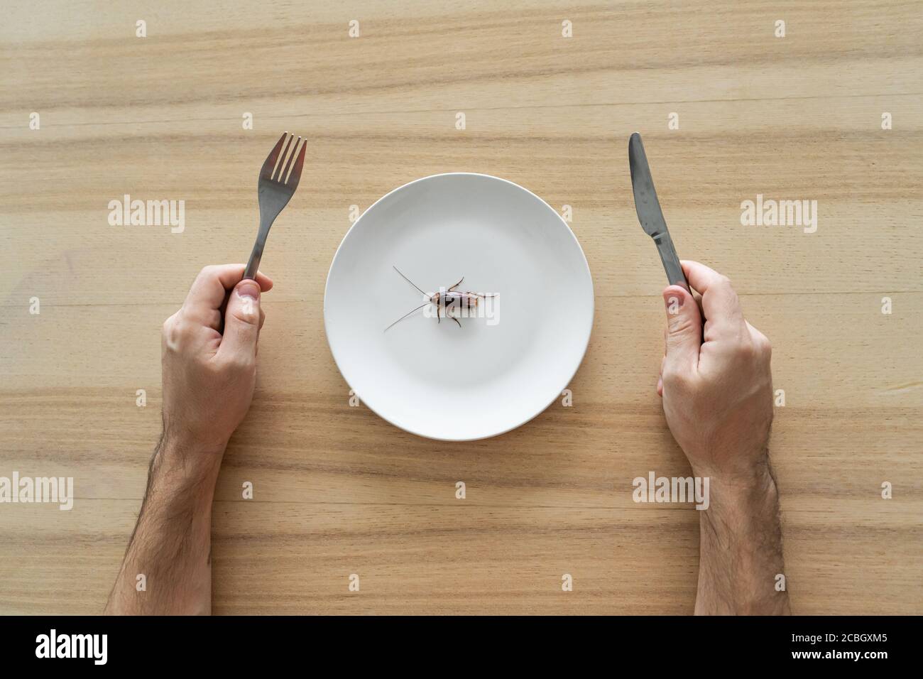 Eating Cockroach High Resolution Stock Photography and Images - Alamy