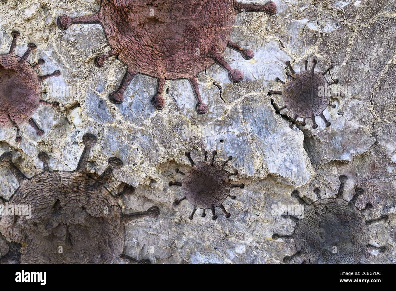 Old stone and rock textures with some virus fossil virus visualization ...