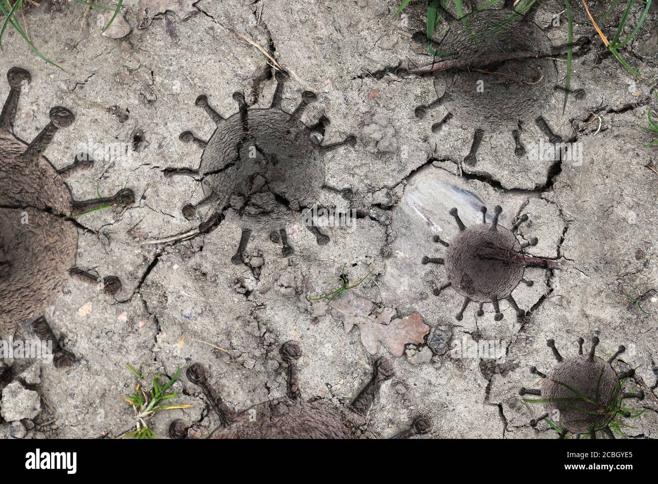 Old stone and rock textures with some virus fossil virus visualization ...