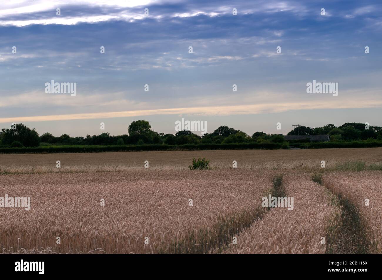 English Countryside Hedgerows High Resolution Stock Photography and ...