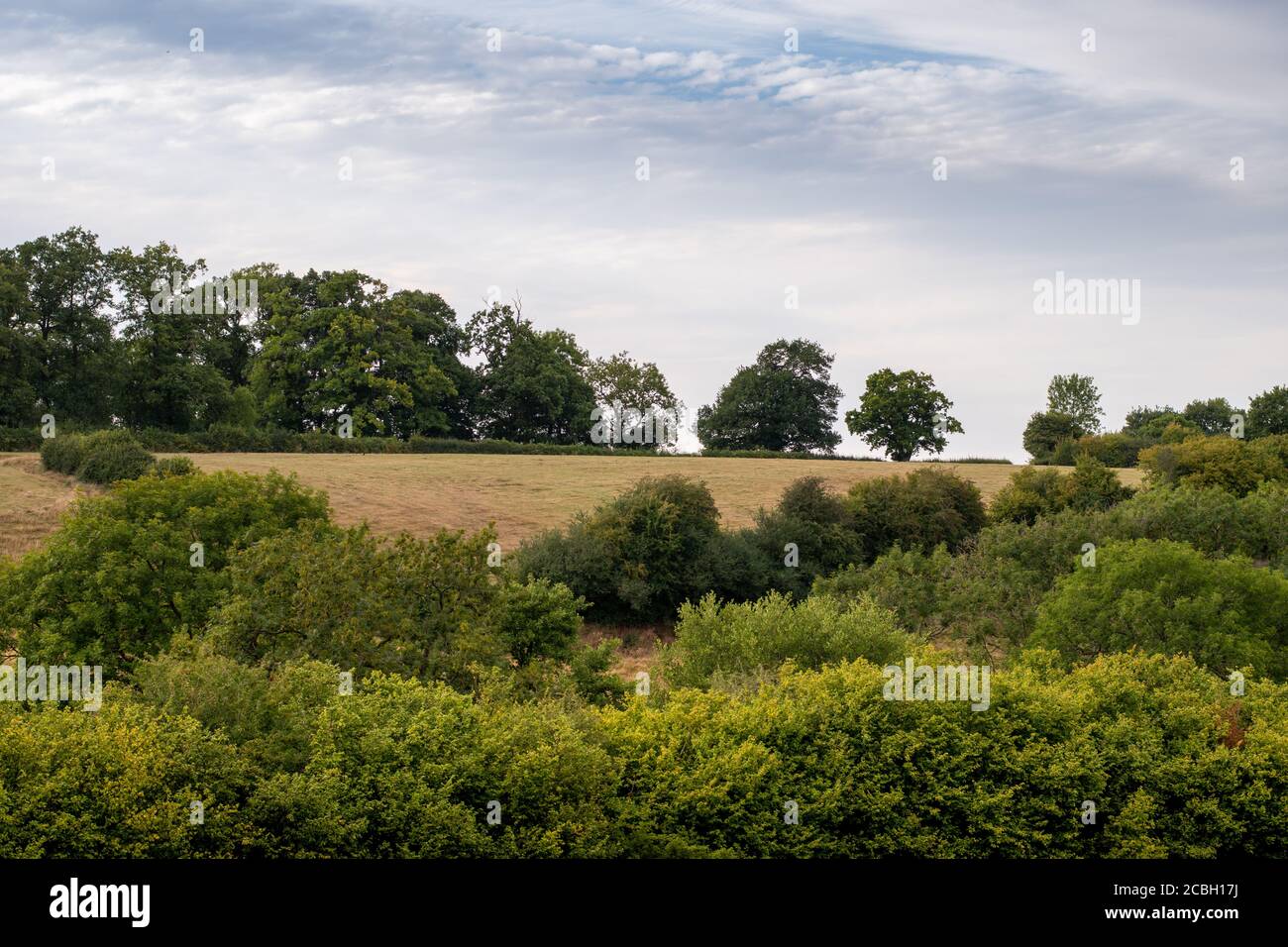 View over fields & hedgerows & trees in English countryside during ...