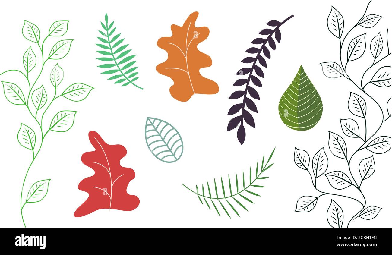 Set of different tree leaves. Isolated on a white background ...