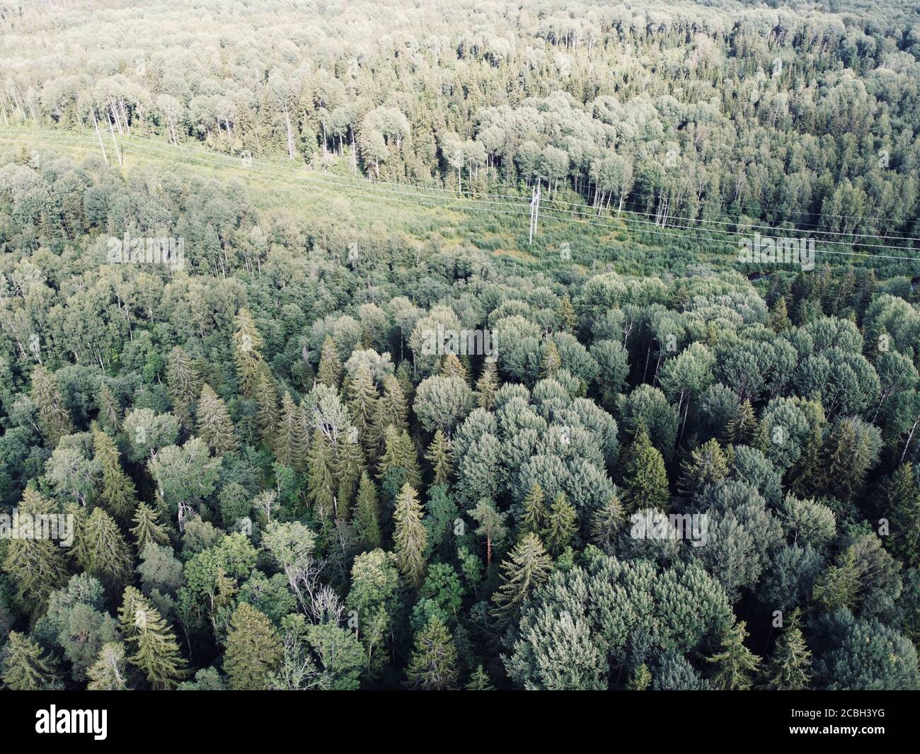 summer green dense forest aerial photography Stock Photo - Alamy