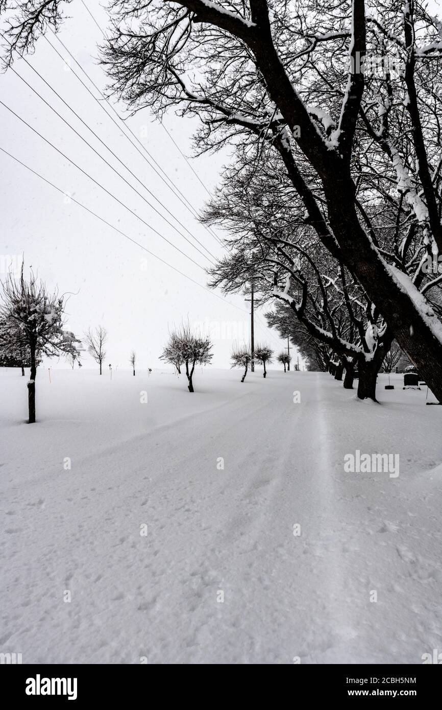 Thick Layers of Snow on Trees and Roads in Winter Stock Photo - Alamy