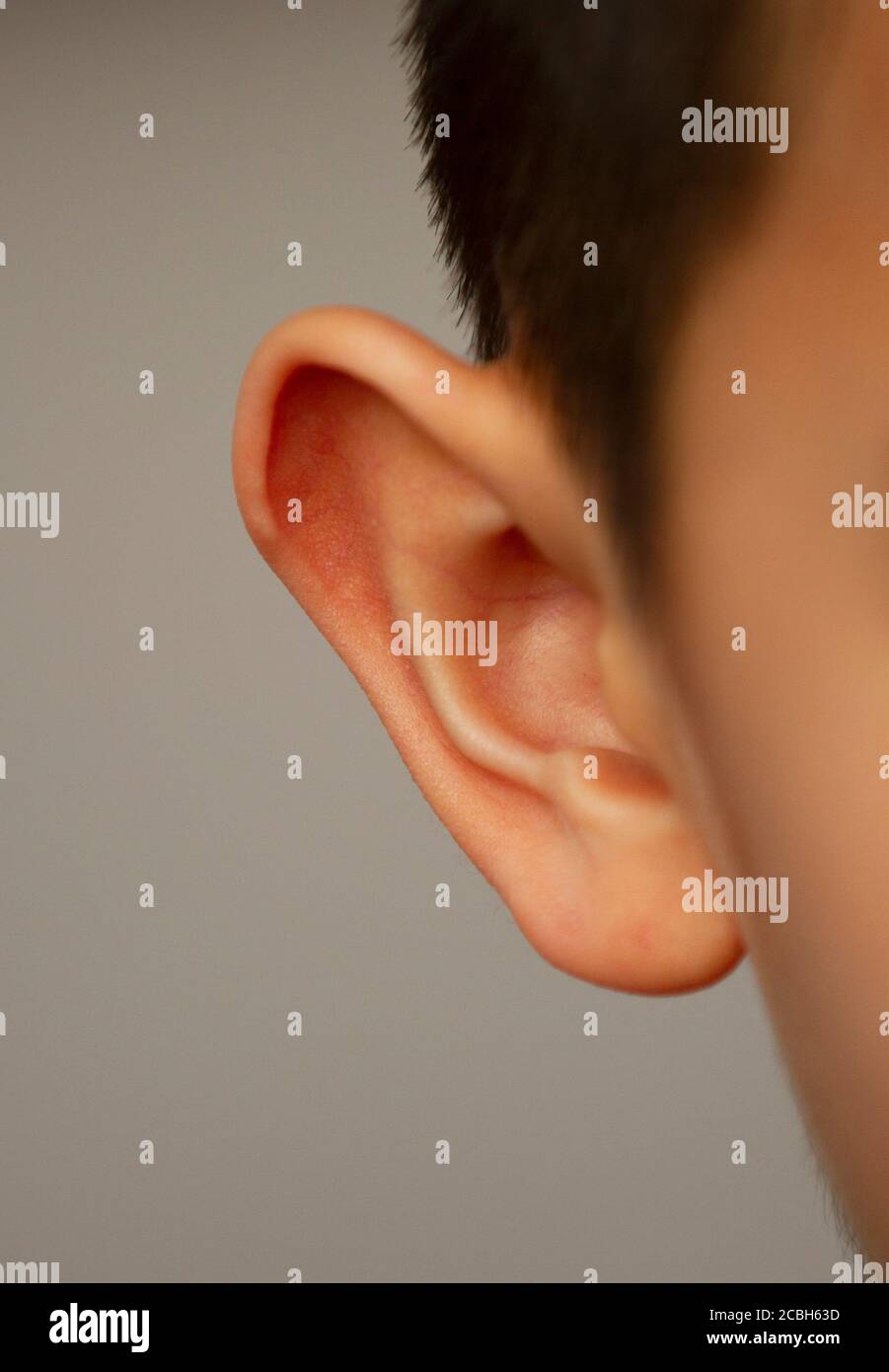 Young boy's ear on white background Stock Photo - Alamy