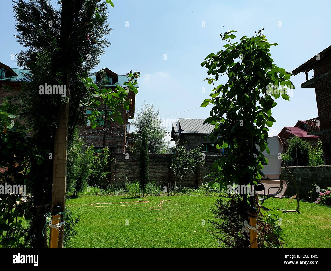 Spring Buds flowers new fruits tree branches greenery and green beauty ...