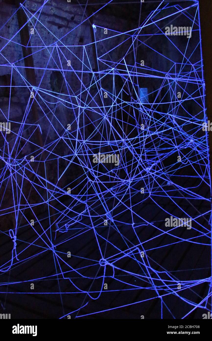 The view of dark blue neon cobweb. Abstract background Stock Photo - Alamy