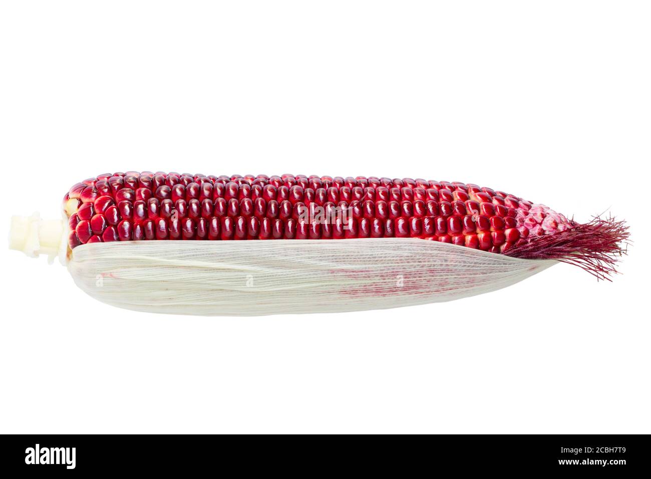Fresh purple corn isolated on white background Stock Photo - Alamy