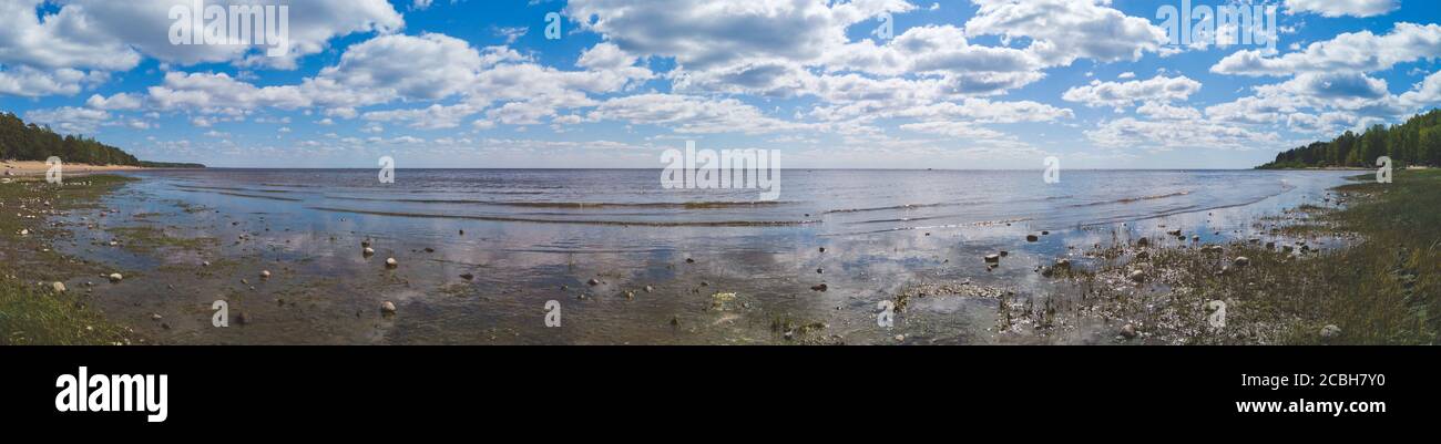 Marshy sea shore. coastline panorama. coast with silt. seascape with ...