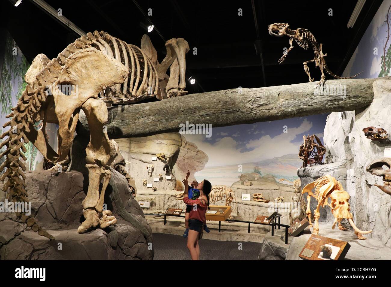 Two sisters admiring a prehistoric scene set up in a museum in Lehi ...
