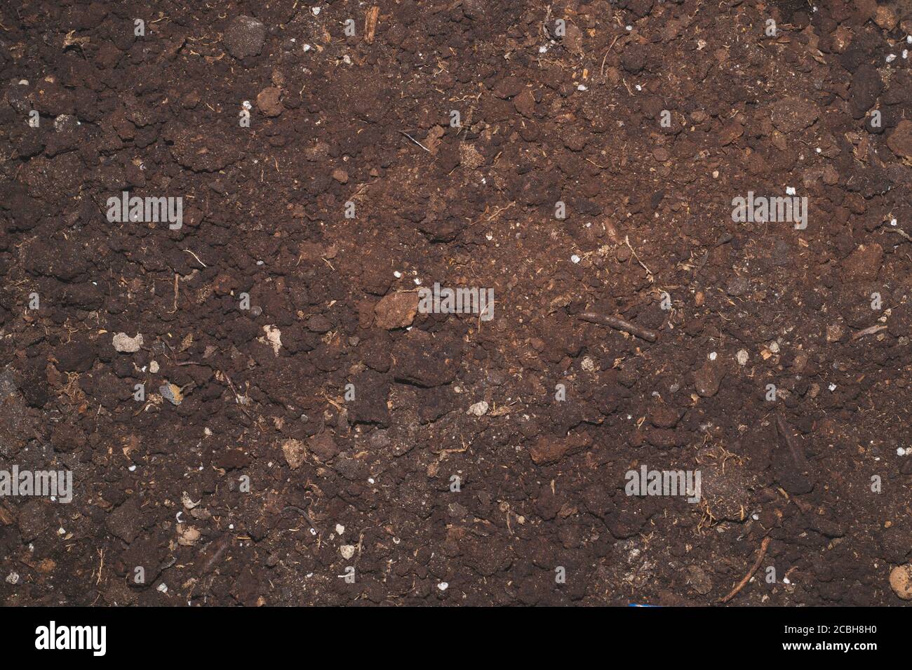 Old soil from flower pot. house plant transplanting Stock Photo - Alamy