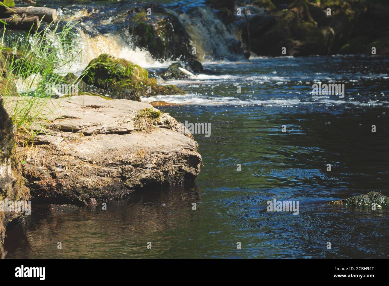 River in the forest. rocky watercourse. water flow. woodland creek ...