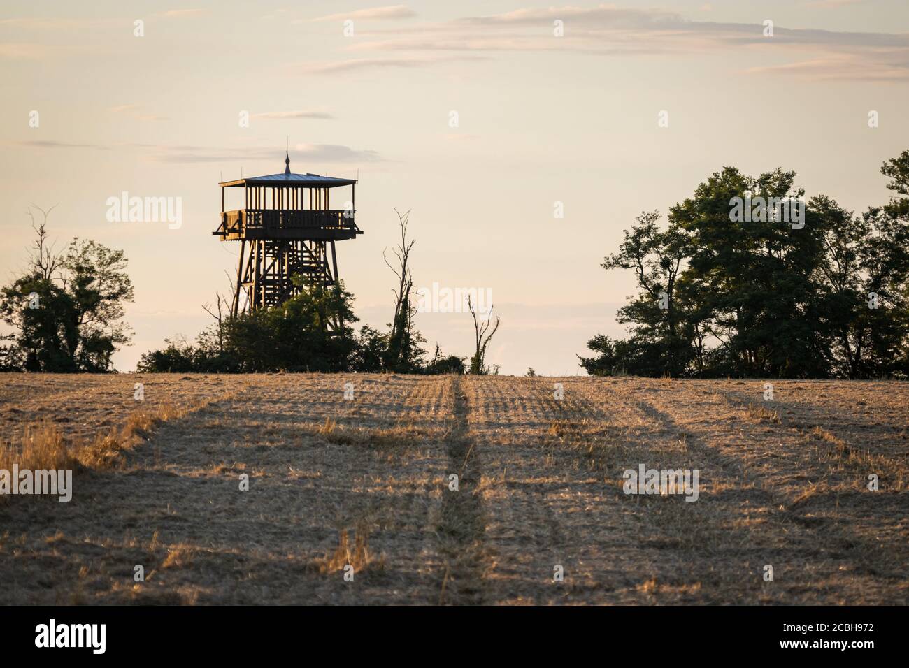 A hunter tower next to a wheat field Stock Photo - Alamy