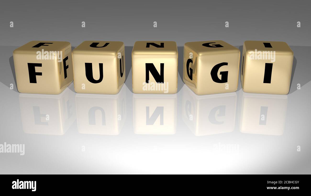 Fungus algae cross hi-res stock photography and images - Alamy