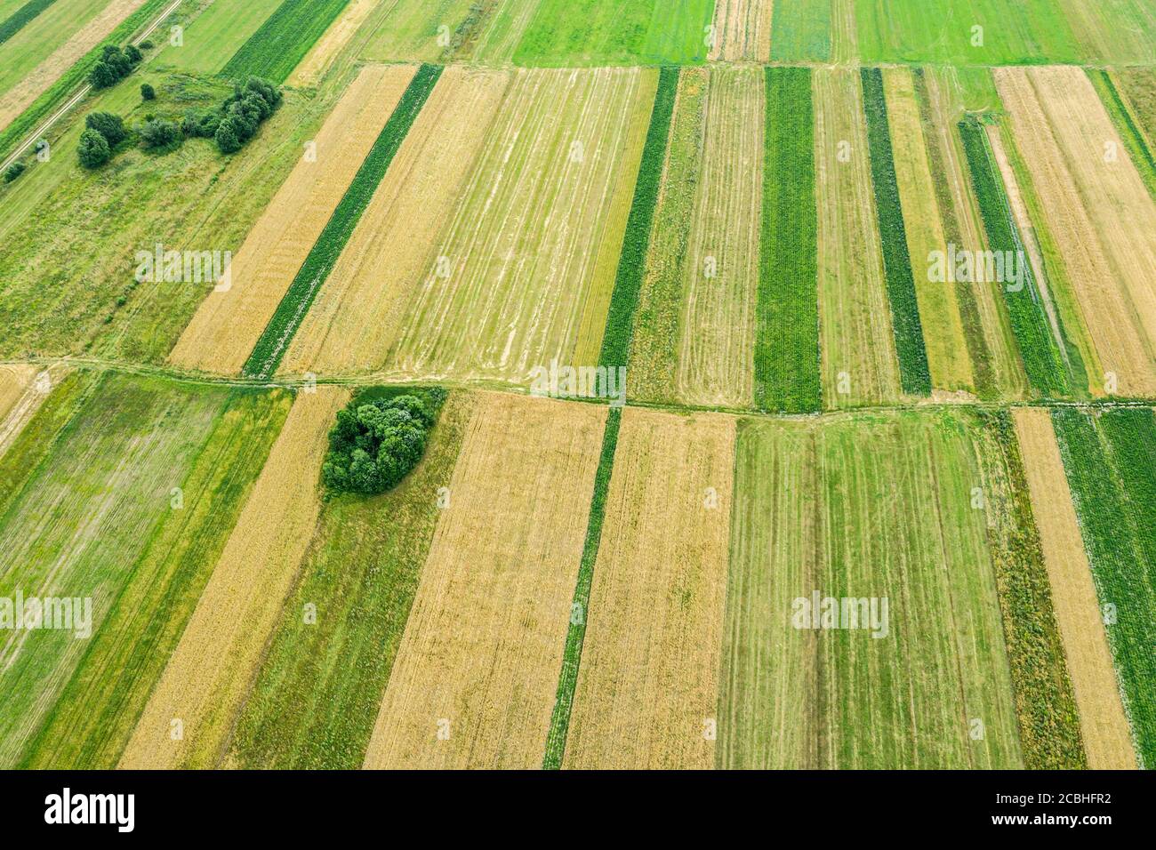top down aerial view of colorful patchwork fields in countryside of ...