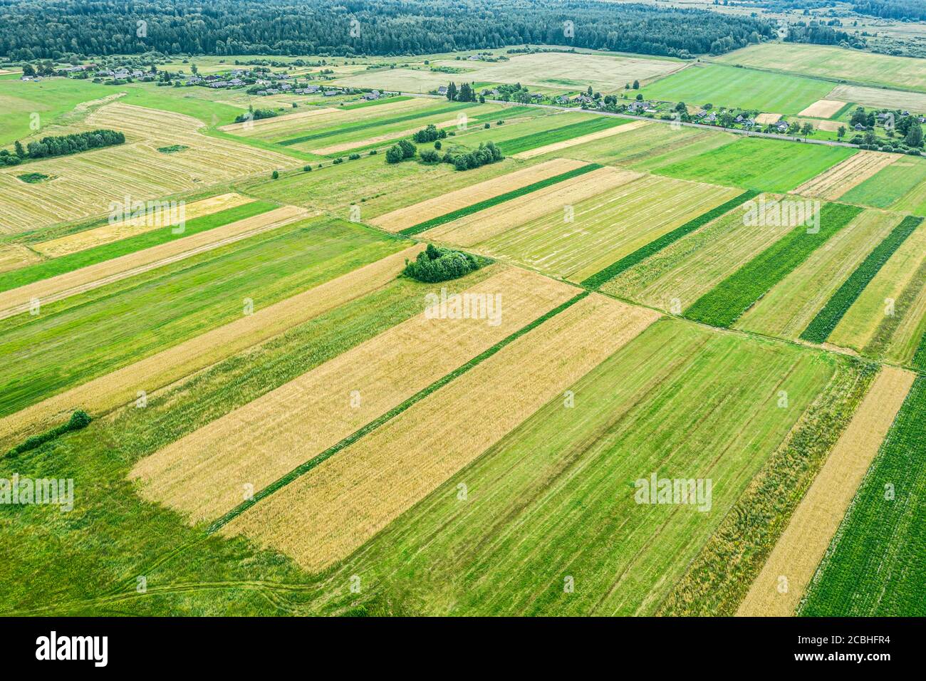 beautiful green agricultural fields landscape viewed from flying drone ...
