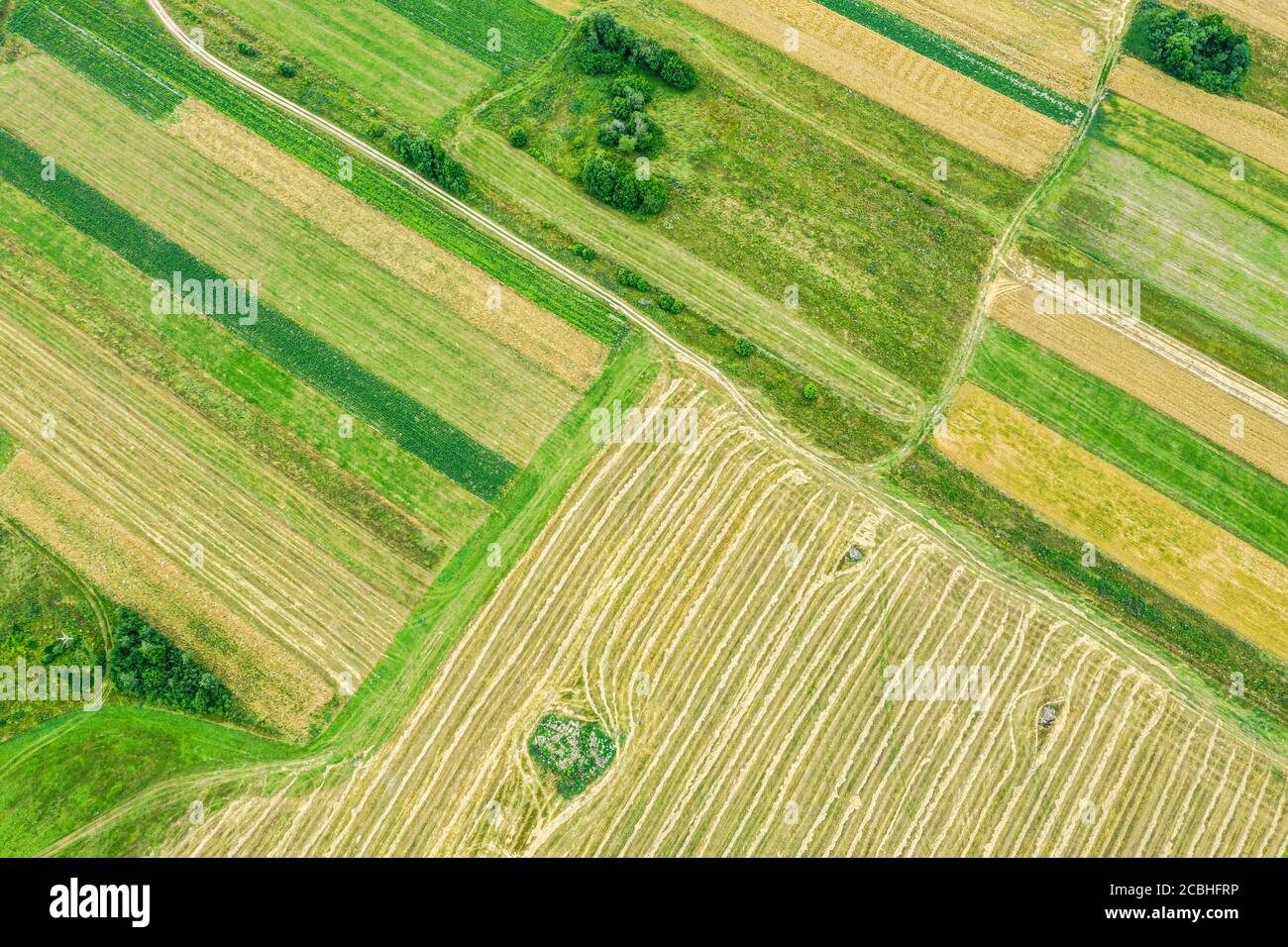 Crop striped top hi-res stock photography and images - Alamy