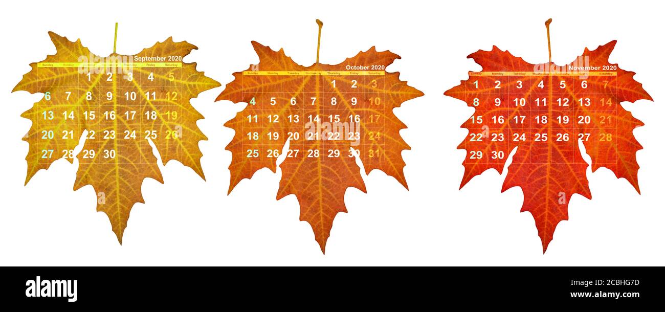 Simple 2020 Year Calendar High Resolution Stock Photography and Images ...