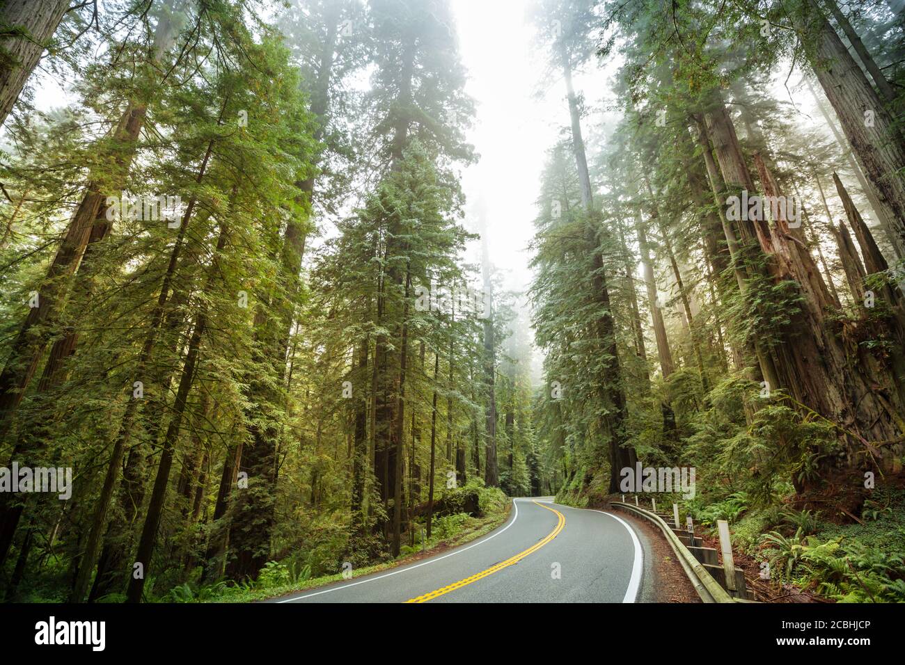 Redwood highway hi-res stock photography and images - Alamy