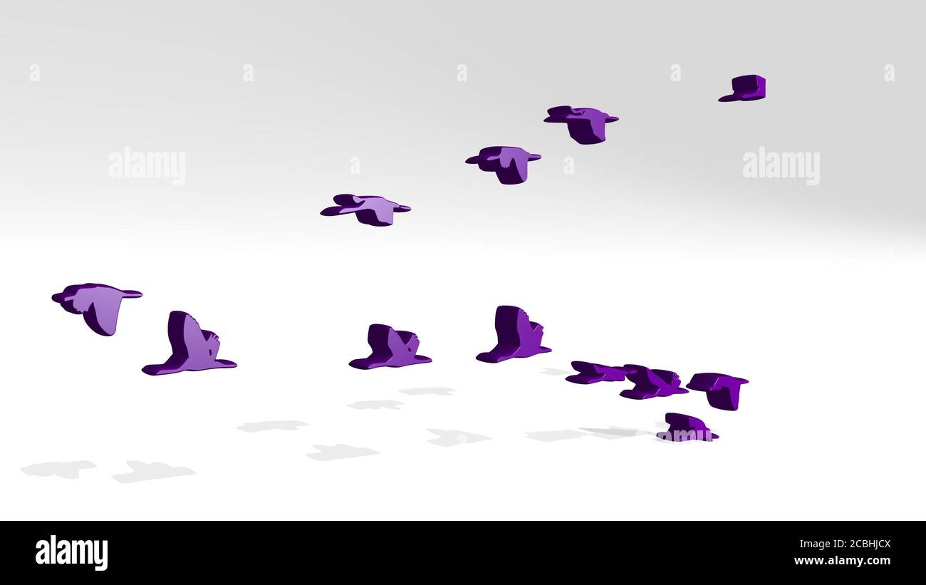 BIRDS 3D icon casting shadow - 3D illustration for background and ...