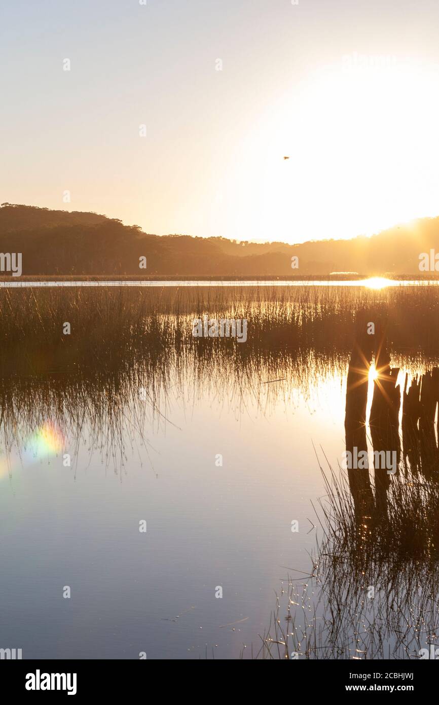 Sunrise over the calm lake Stock Photo - Alamy