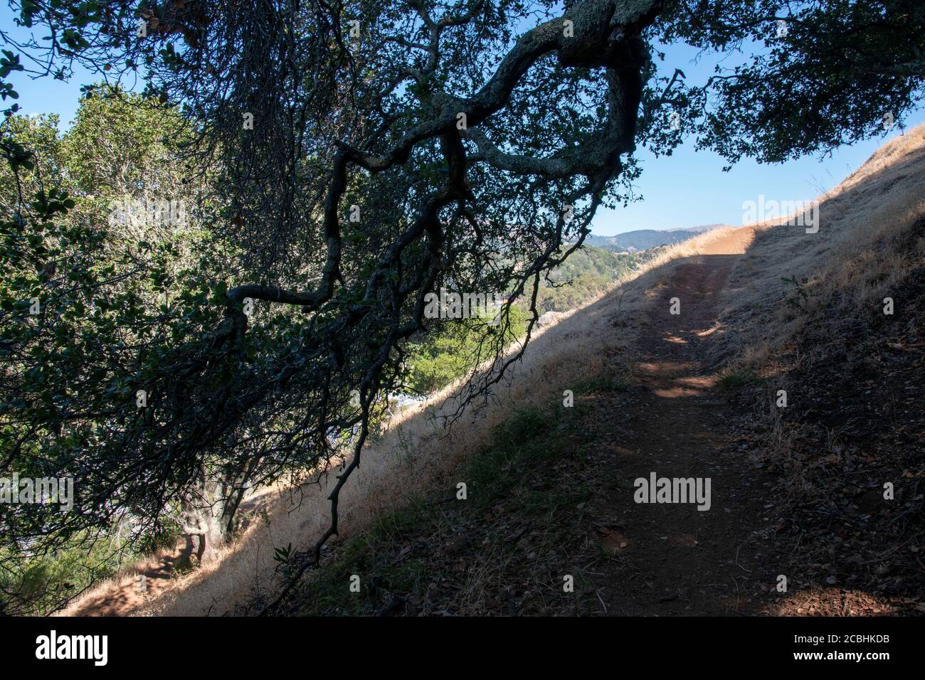 San Anselmo Red Hill