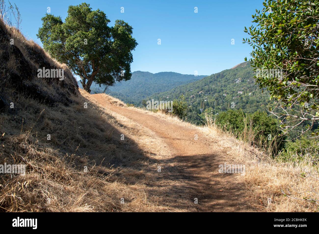 The Trail To The Top Of Red Hill In San Anselmo Ca Usa Is A Short One