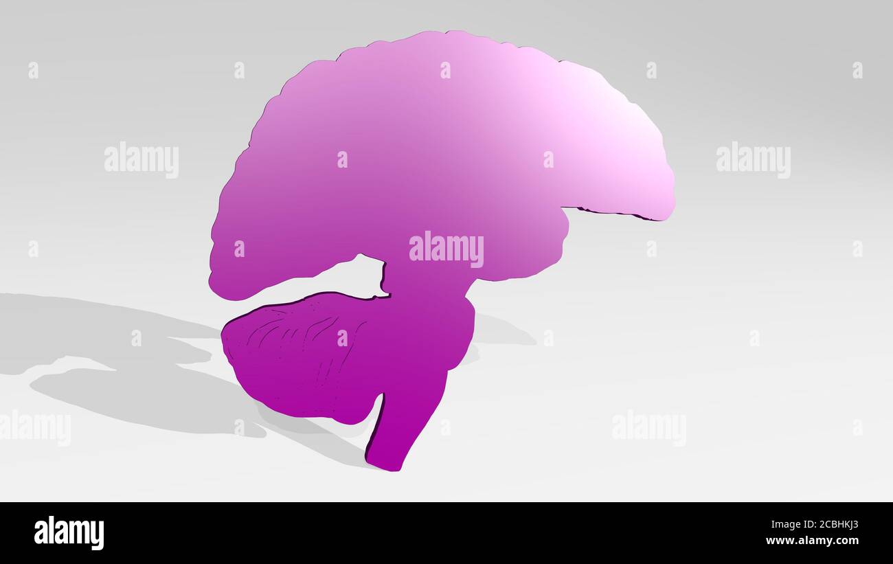 brain 3D icon casting shadow - 3D illustration for concept and ...