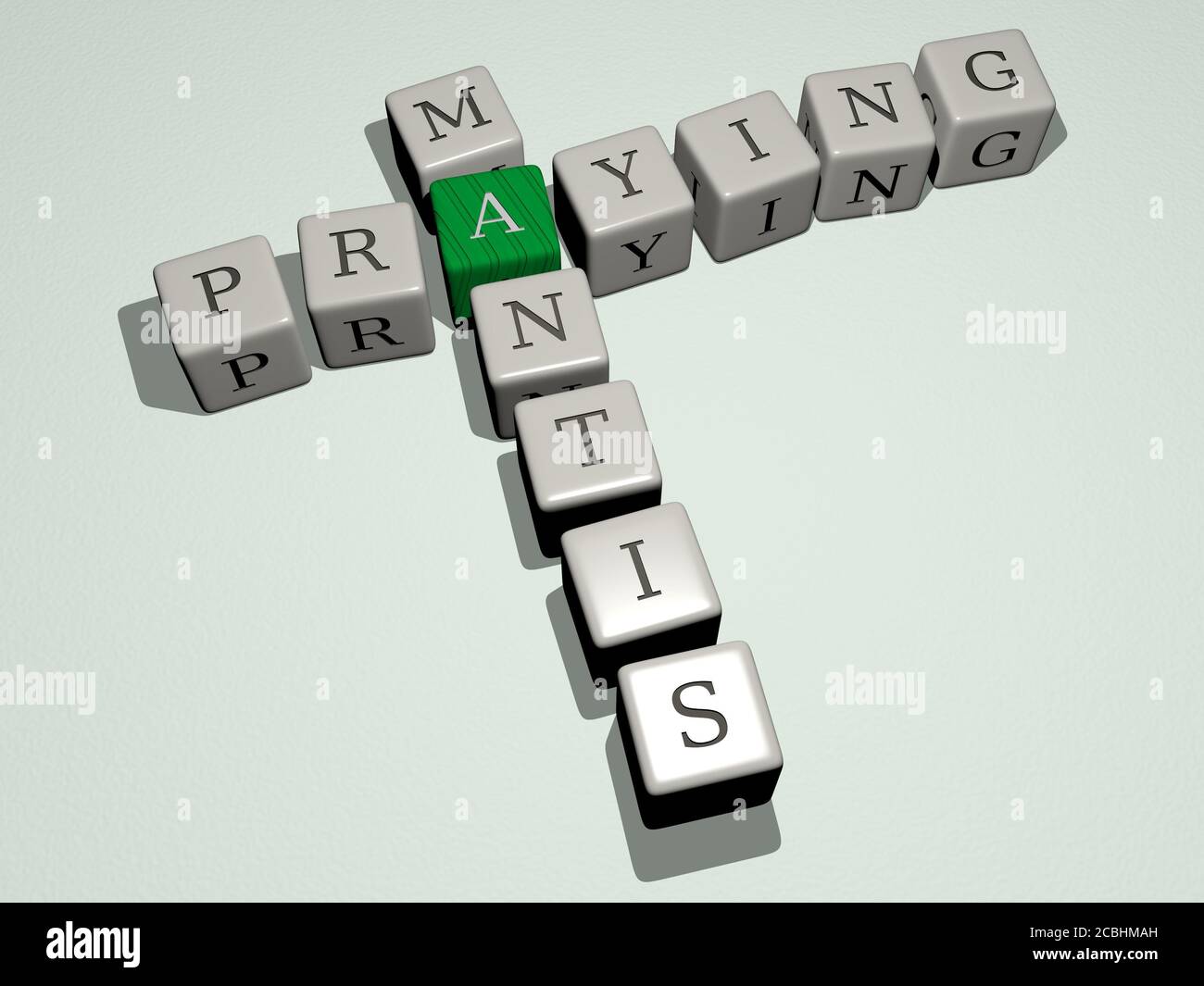 praying mantis crossword by cubic dice letters - 3D illustration for ...
